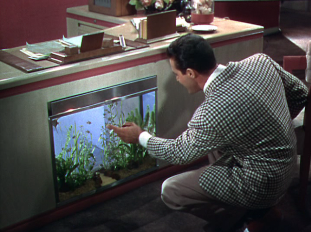 Love Music Wine and Revolution: Neptune's Daughter (1949)