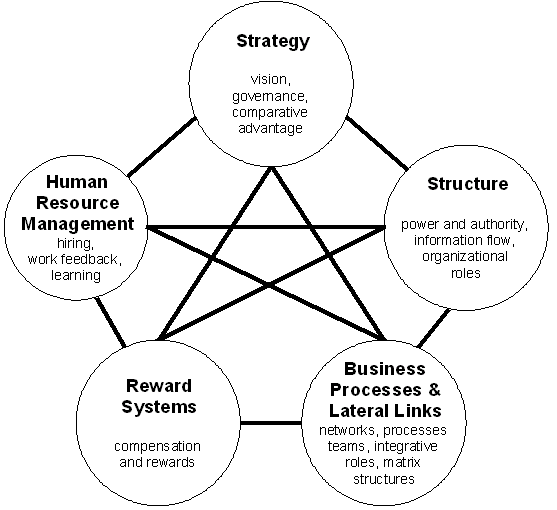 HR Generalist: Discussions and Developments: The Star Model