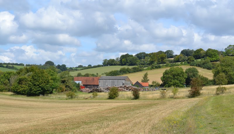 Walks among Flowers: Buckinghamshire: Radnage to West Wycombe: Chiltern ...