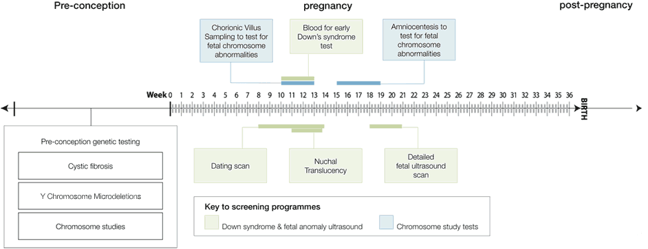 Prenatal Testing: A Legislation For Education: History of Prenatal Testing
