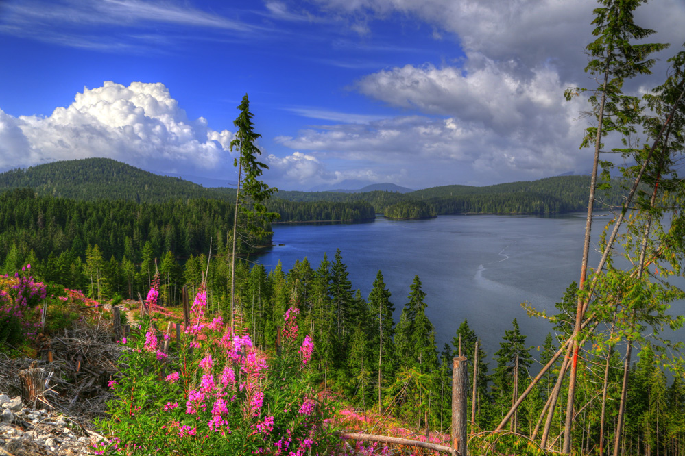 John and Aileen sometimes on the road: A FEW MORE NORTH ISLAND PHOTOS