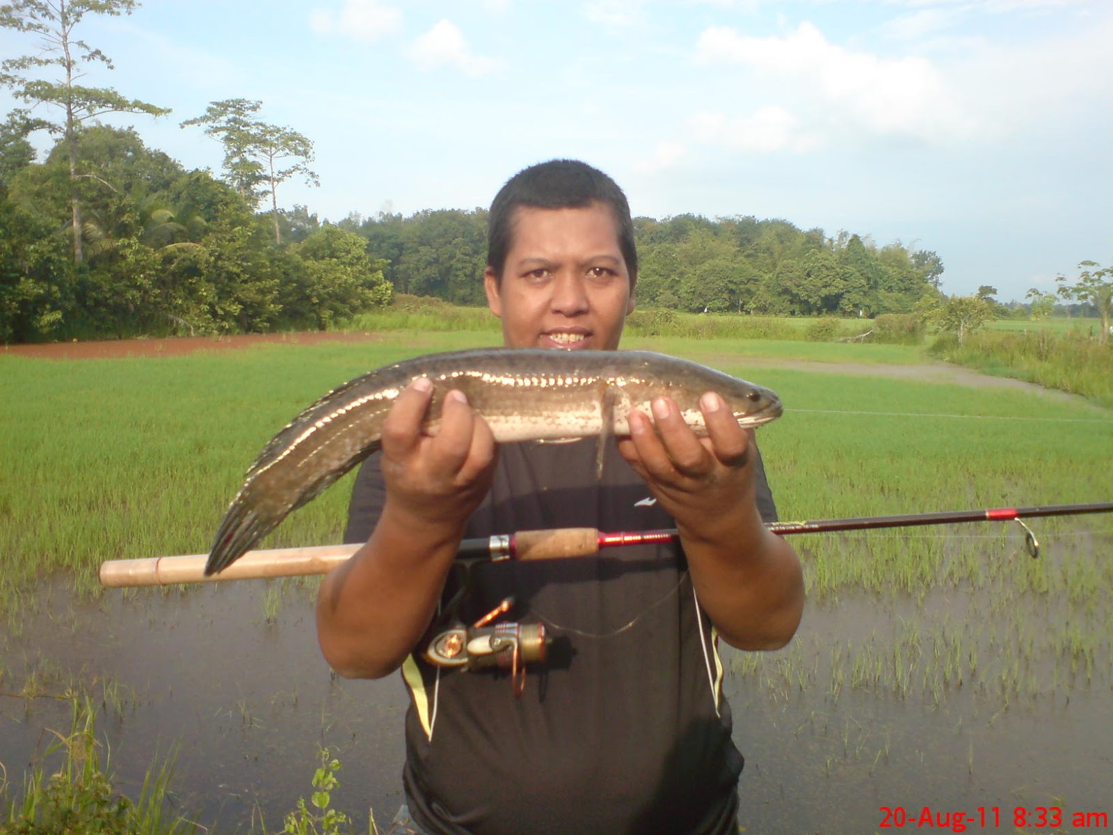 Gewang Garang: Channa Bendang Padi