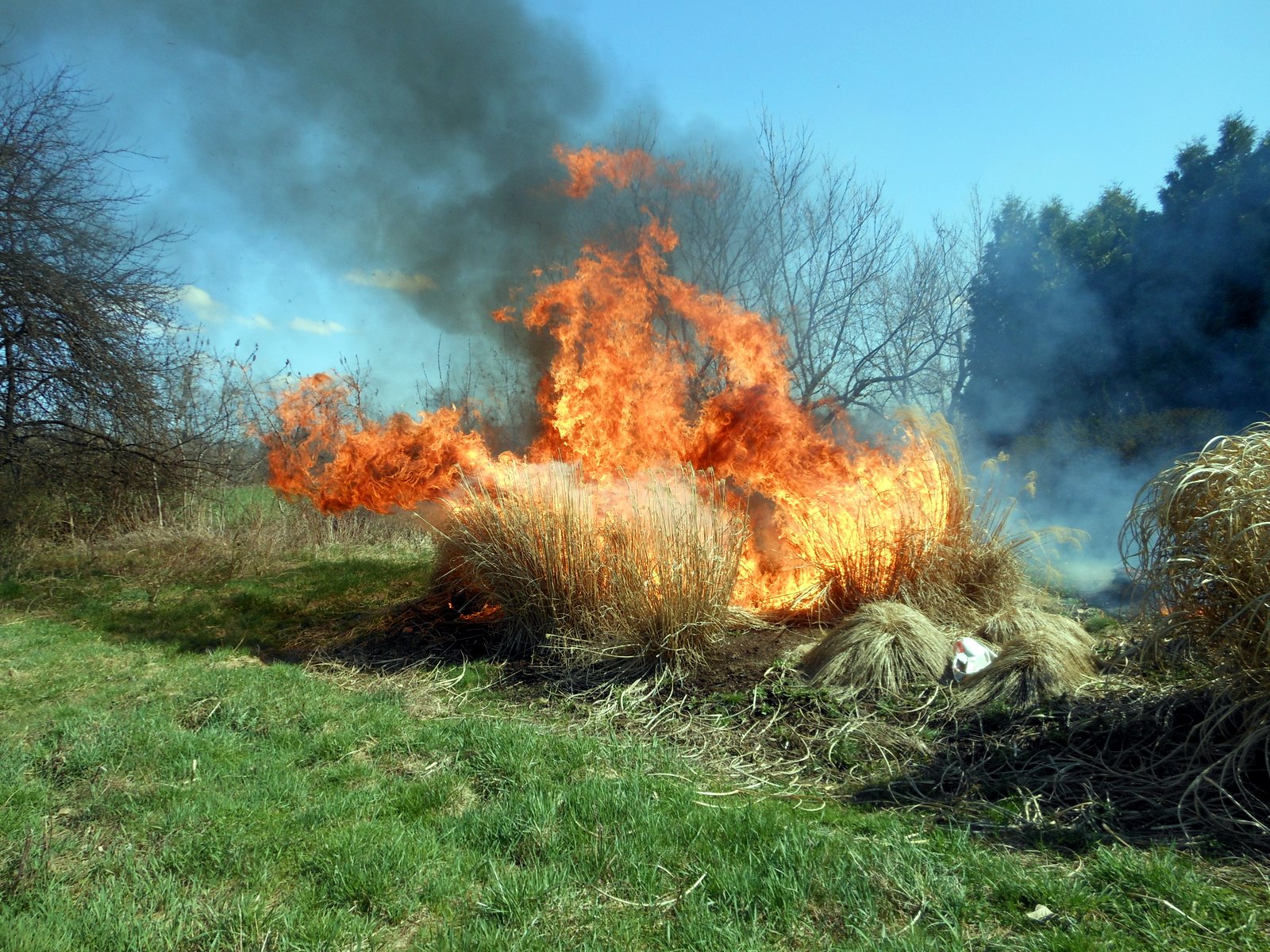 DeCampStudio: Burning Grass