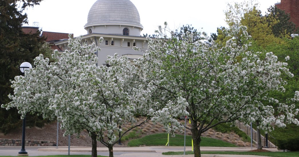Michigan Exposures: The University of Michigan Observatory