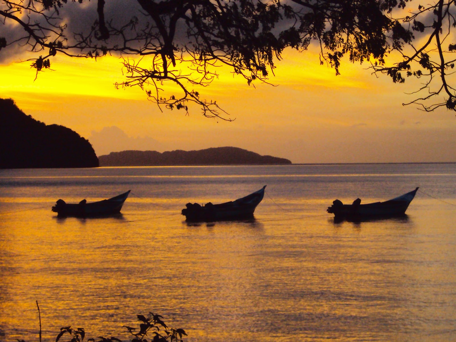 Lugares Turisticos de Sucre: Macuro