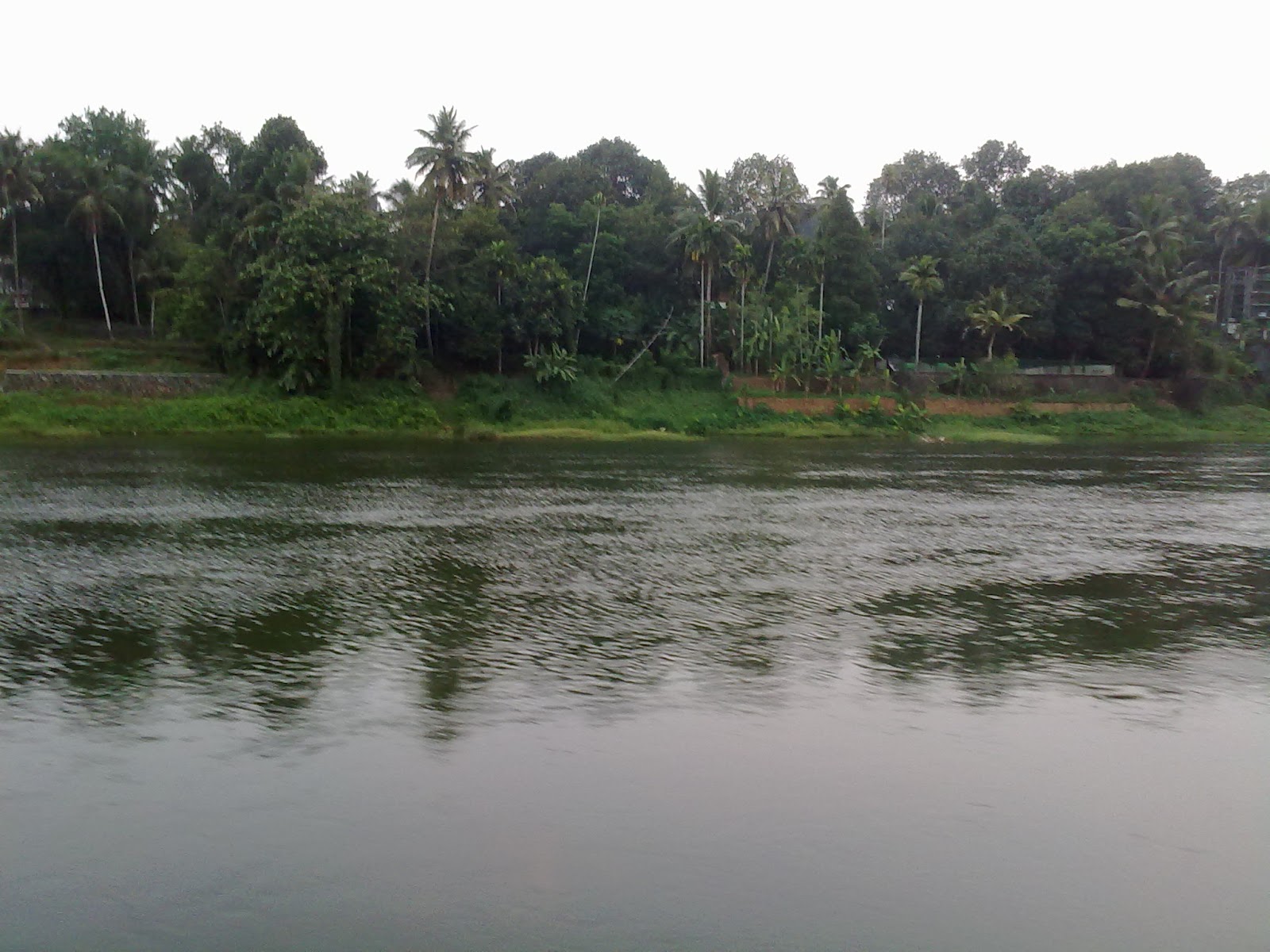 Muvattupuzha - JungleKey.in Image