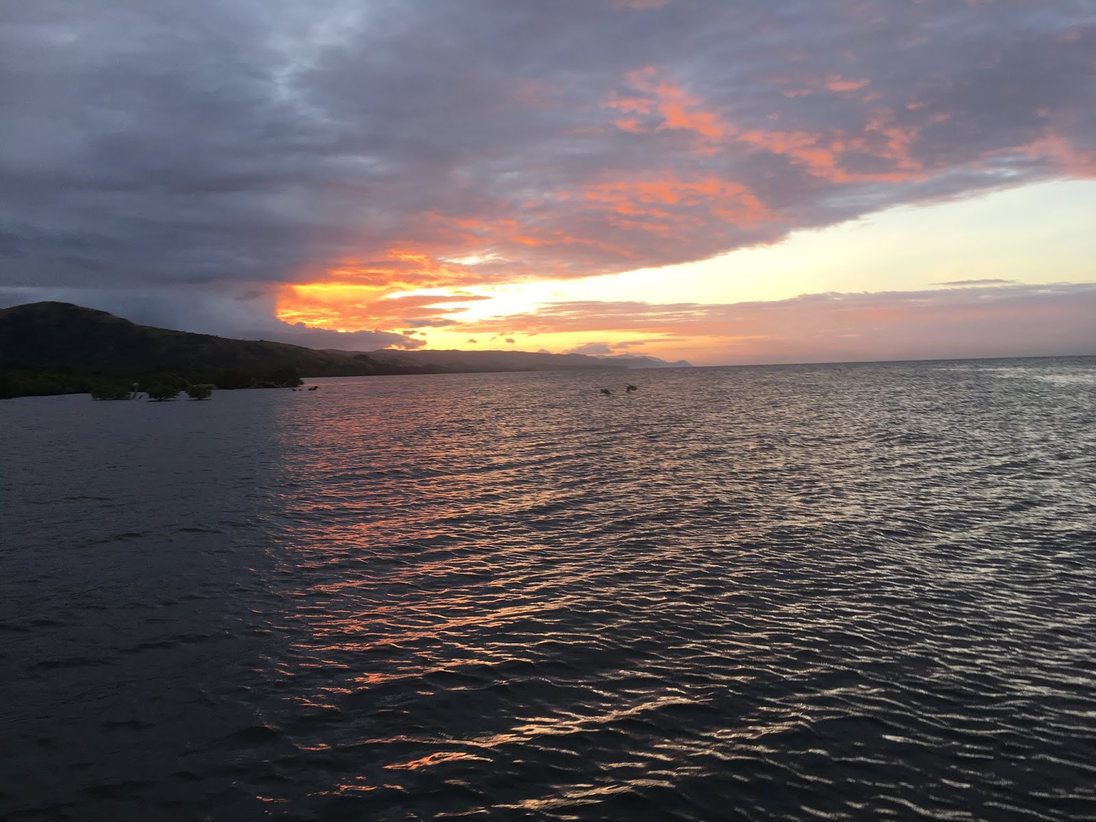 Think Pacific: A review