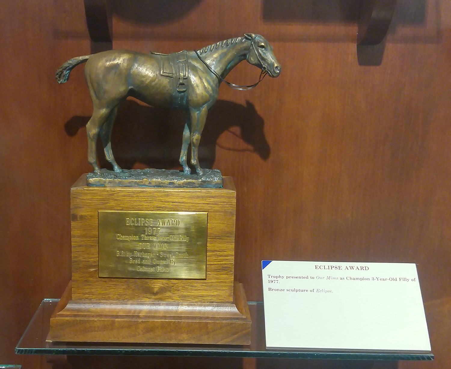 Model Horse Collectibility: May 2017