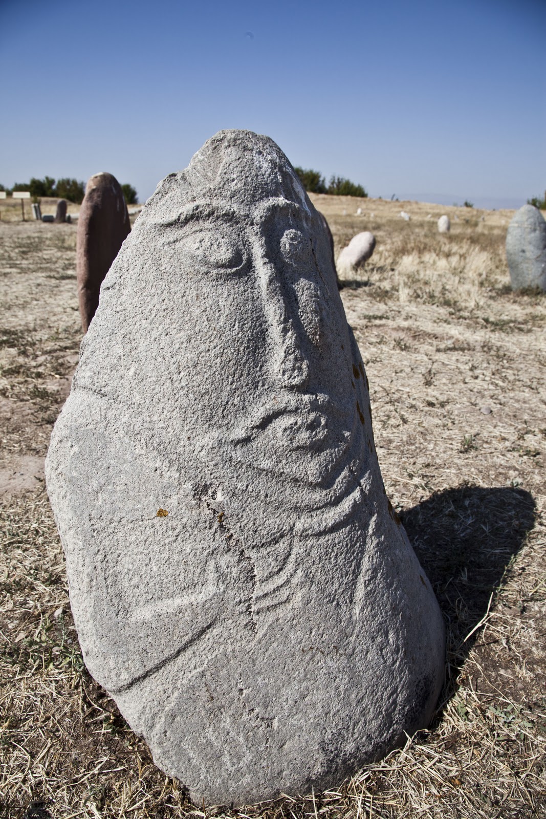 Fiyel Levent: Portrait of a Balbal