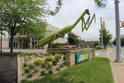 To Behold the Beauty: A Day Out with Friends (And A New Camera)