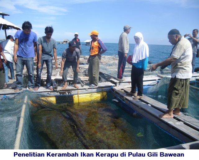 Terumbu Karang di Perairan Laut Gili Nilai Tawar Wisata di Jawa Timur ...