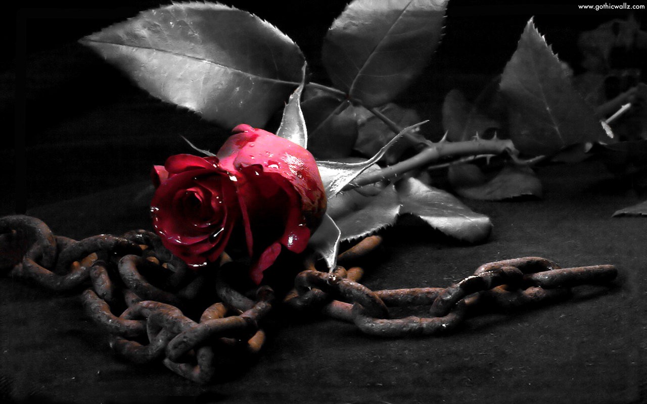 A Shot In The Dark Roses And Chains Poem