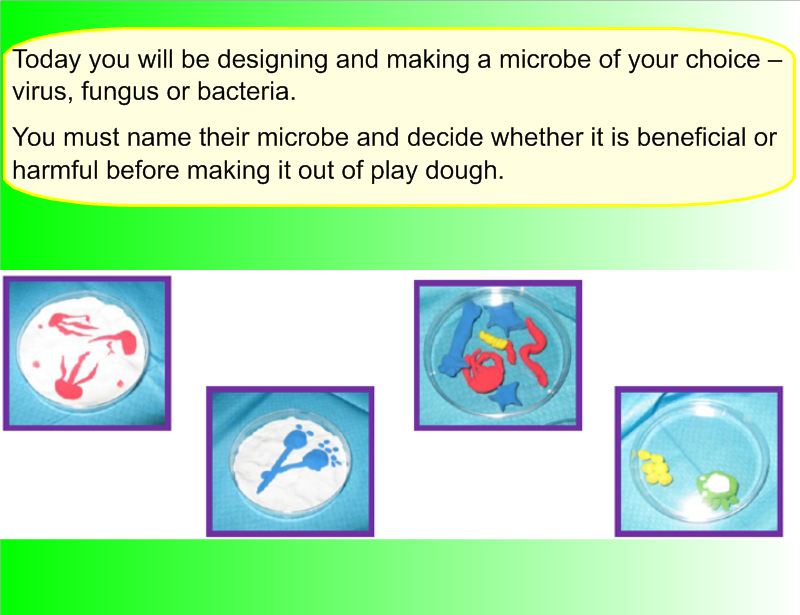Year 2 and 3 STEM Club: Microorganisms