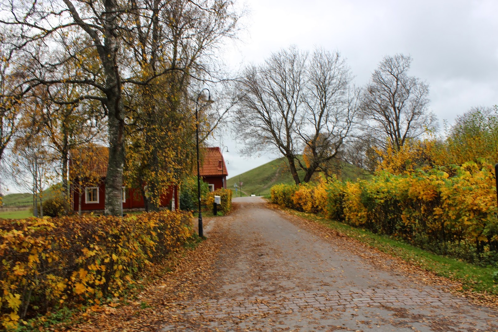 The holy Scandinavian temple at Gamla Uppsala, Sweden | Sauce Magnusson
