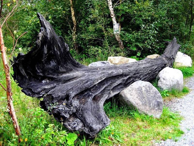 Handmade by Amo'r, Ireland: Bog Oak at Boora, Caught My Eye no. 33