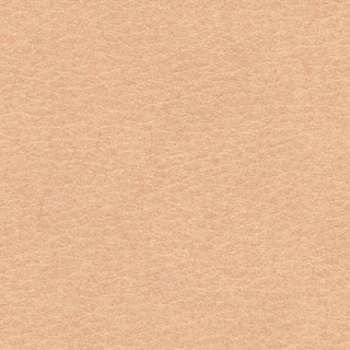 HIGH RESOLUTION TEXTURES: Skin