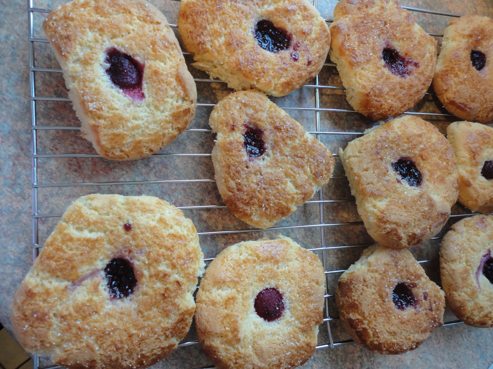 Babaduck: Retro Raspberry Buns