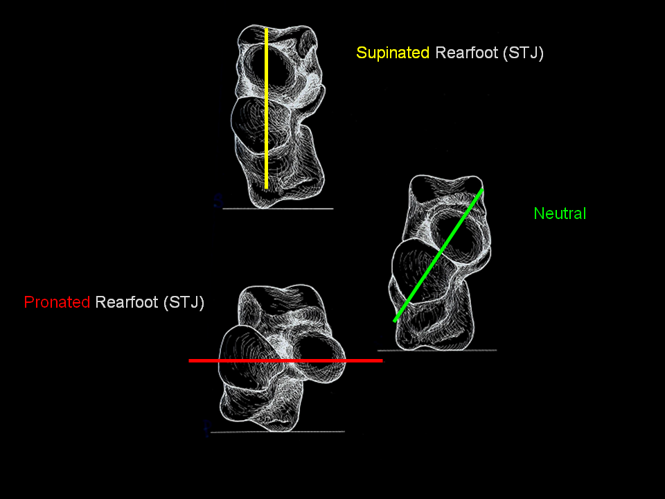 Medical Case Histories and Treatment