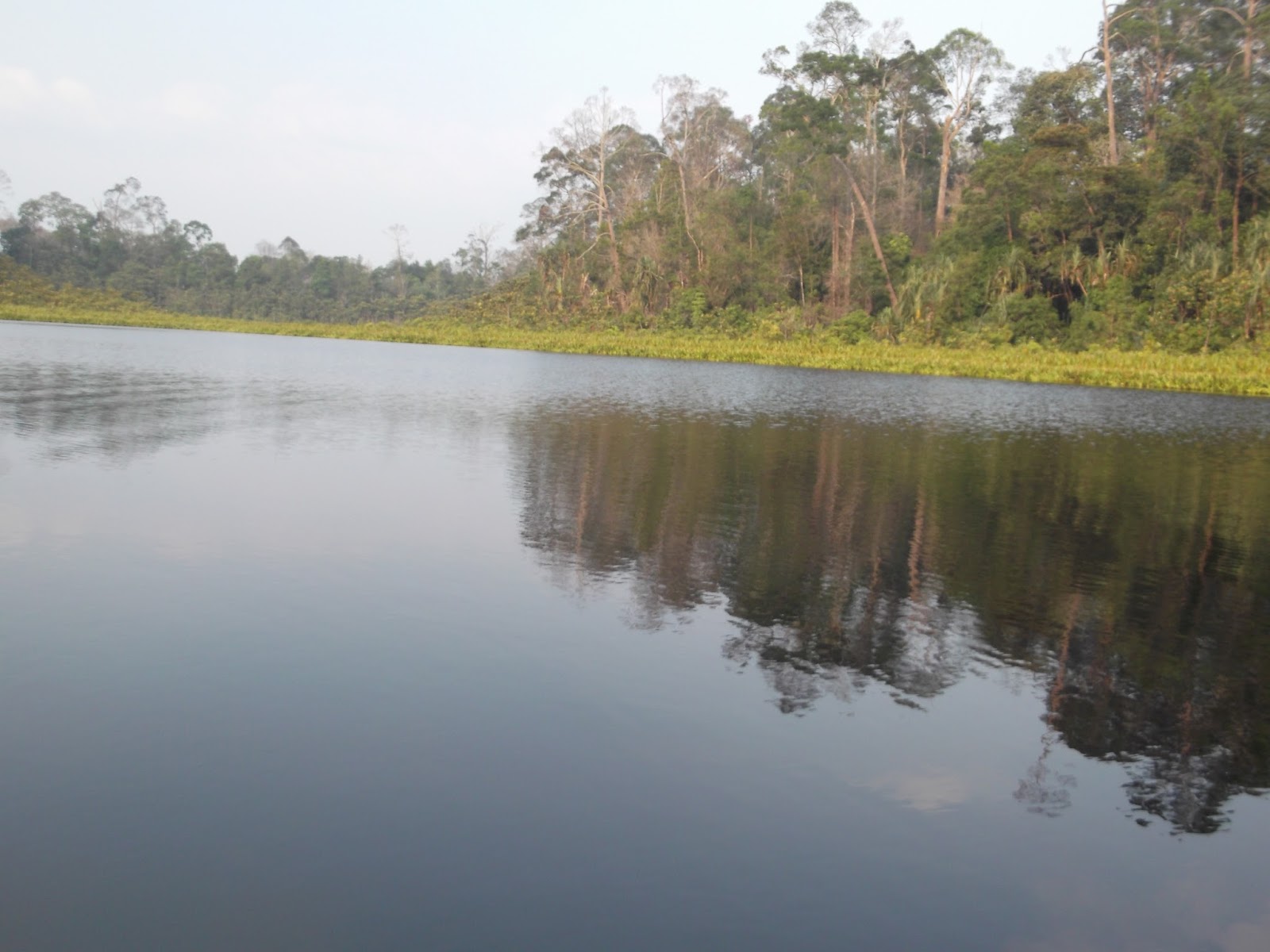 TANJUNG DARUL TAKZIM: Asyiknya Mancing Di Tasik Nambus