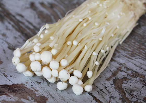 Enokitake - Alchetron, The Free Social Encyclopedia