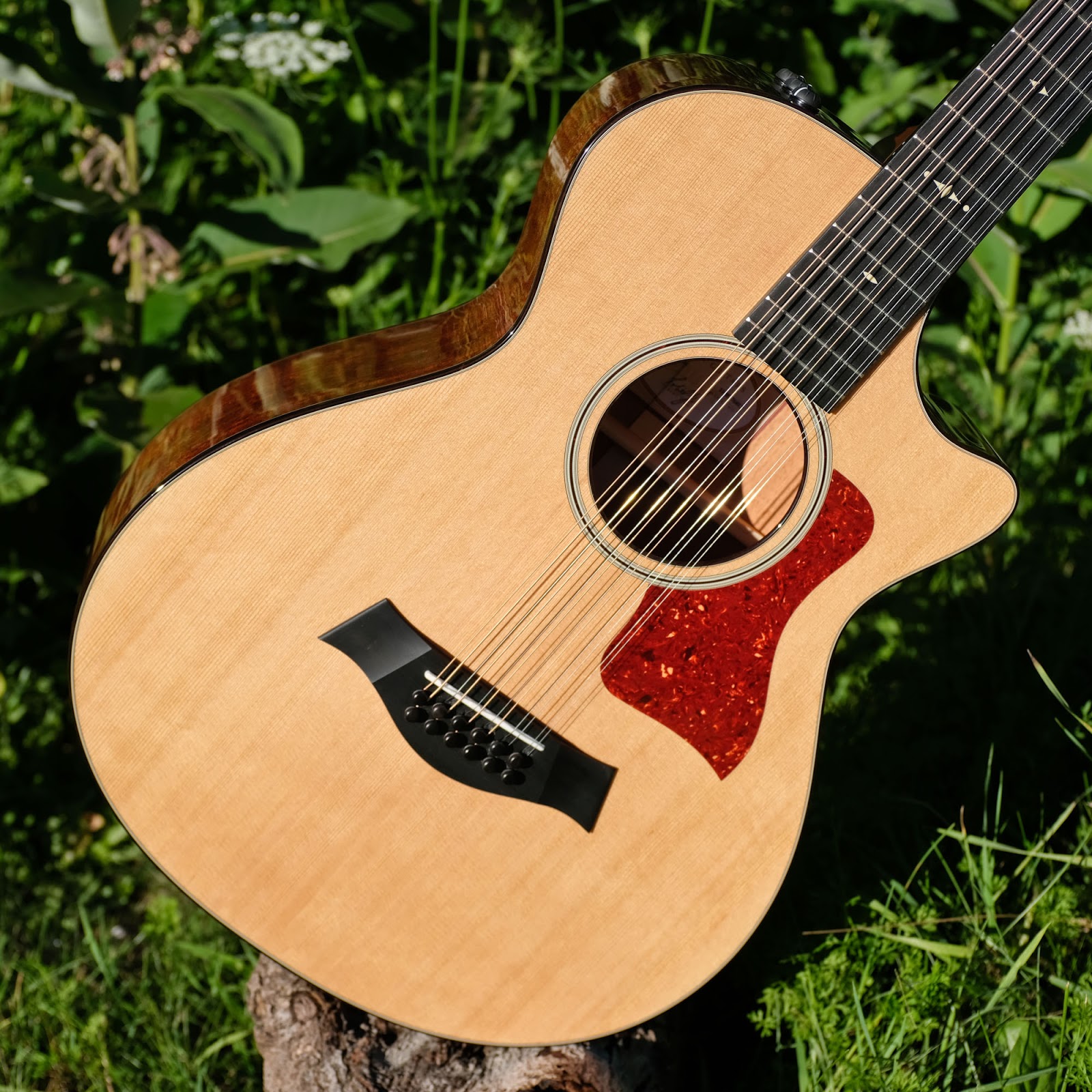 2016 Taylor 552CE 000-Size 12-String Guitar