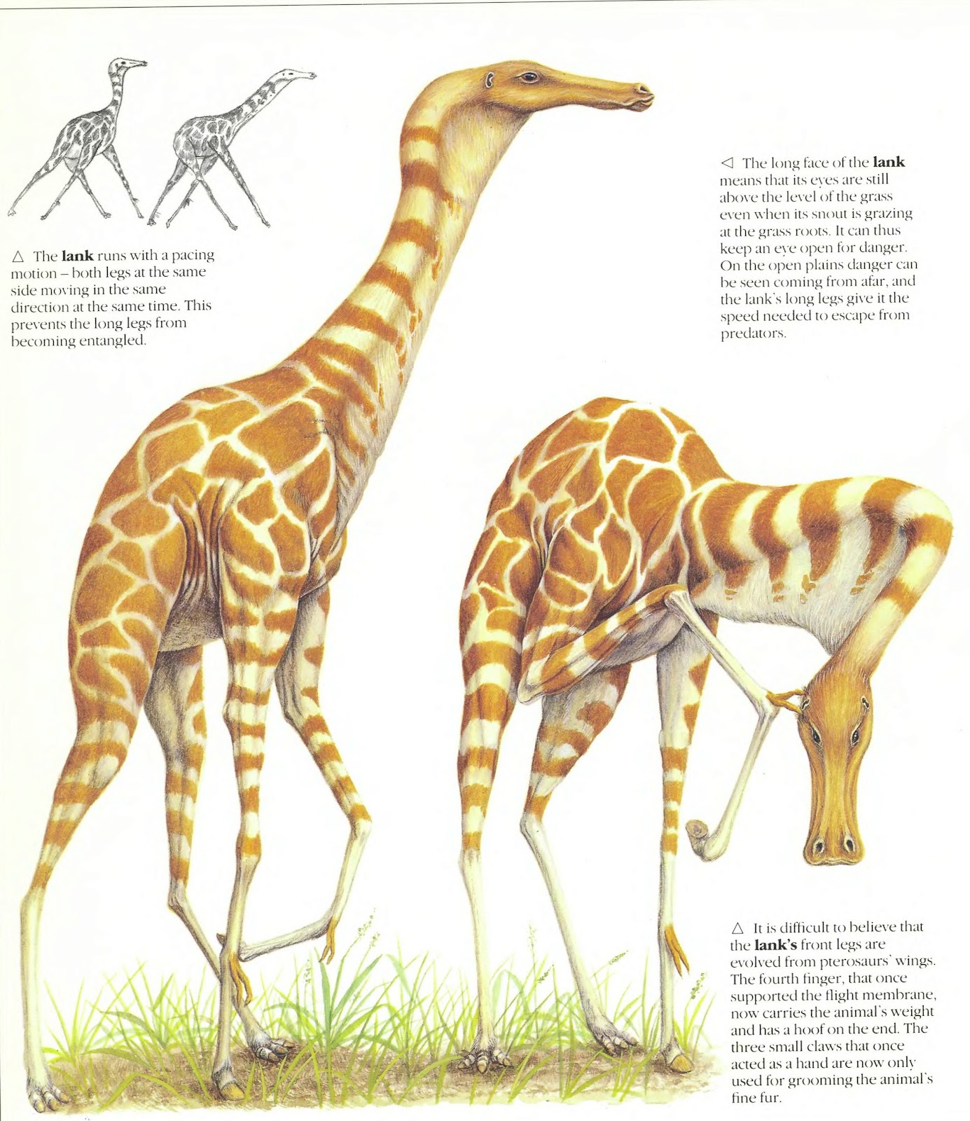 Labirintos do Ser: Dougal Dixon - The New Dinosaurs: An Alternative ...