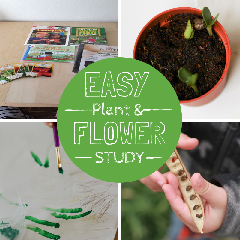 cute and peculiar: Spring nature study