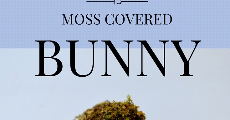 Moss covered bunny rabbit for under $5!