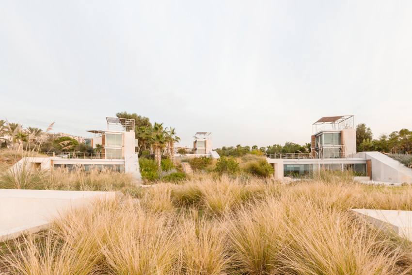 Organic Architecture: Courtyard Tower House