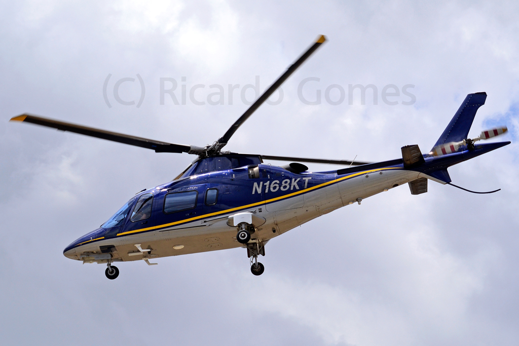 Ricardo Gomes - The True Life of a True Spotter: Spotting Trip @ Los ...