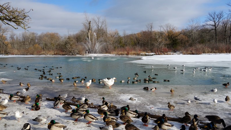 Dufferin Islands Natural Area
