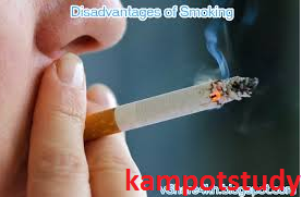 Advantages And Disadvantages Of Smoking ~ ជីវ សិលា