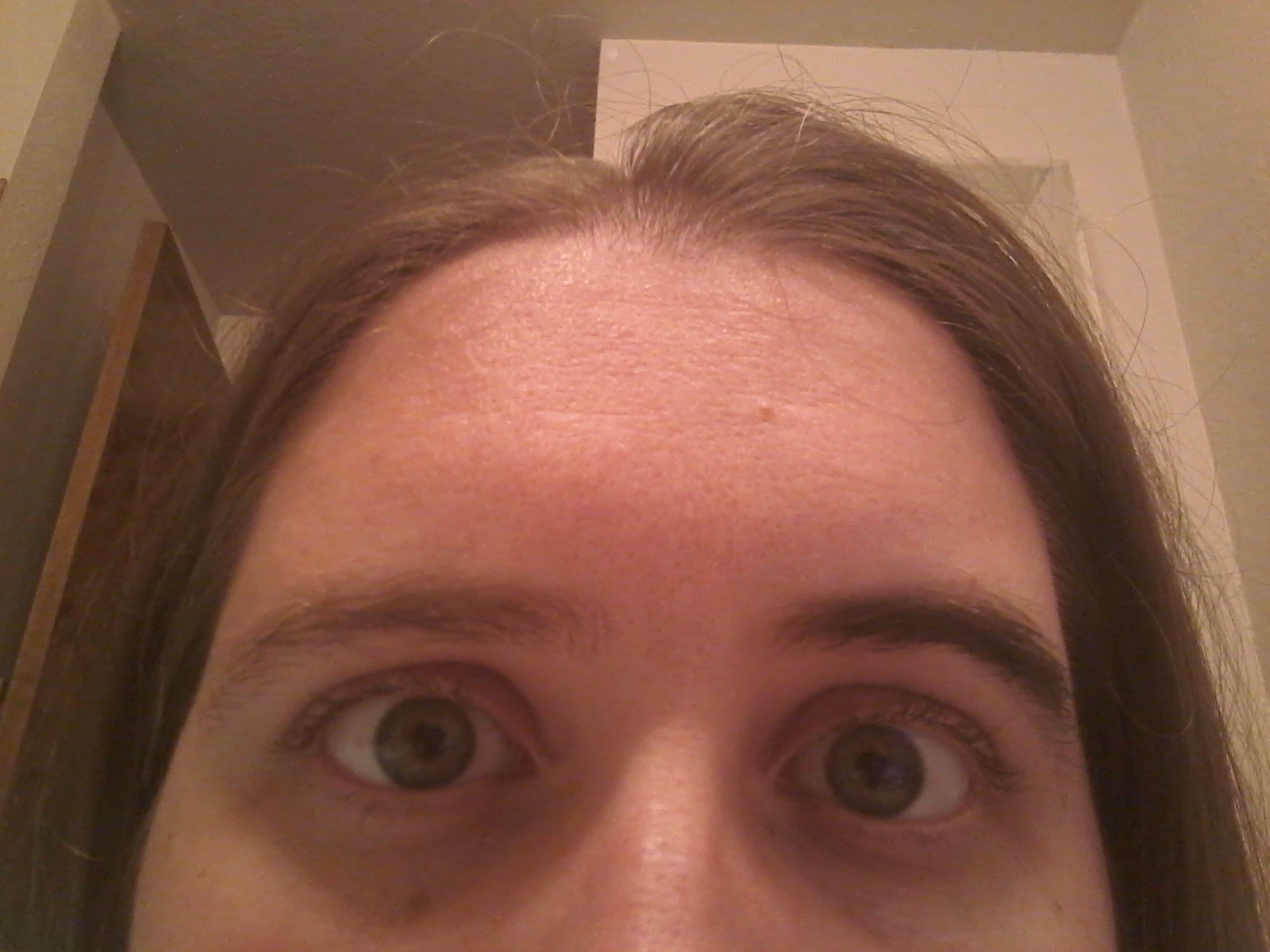 To Blacken the Eye Lashes and Eye Brows (1833-1854) | Beth's Bobbins