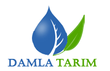 Damla Tarım: Topraksız Tarım Tarihi