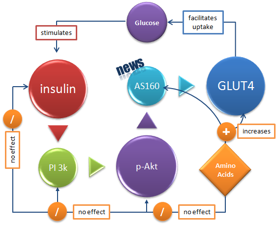 Free download program Activation Of The Glucose Transporter Glut4 By ...
