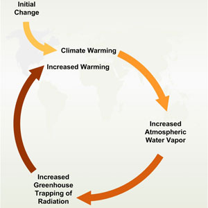 CLIMATE CHANGE: THE CLIMATE SYSTEM, FEEDBACKS, CYCLES AND SELF-REGULATION