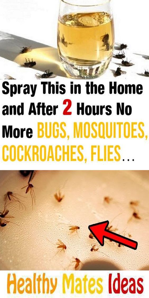 Lizy Style Homemade Insect Spray That Works lizy-style-homemade-insect-spray-that-works