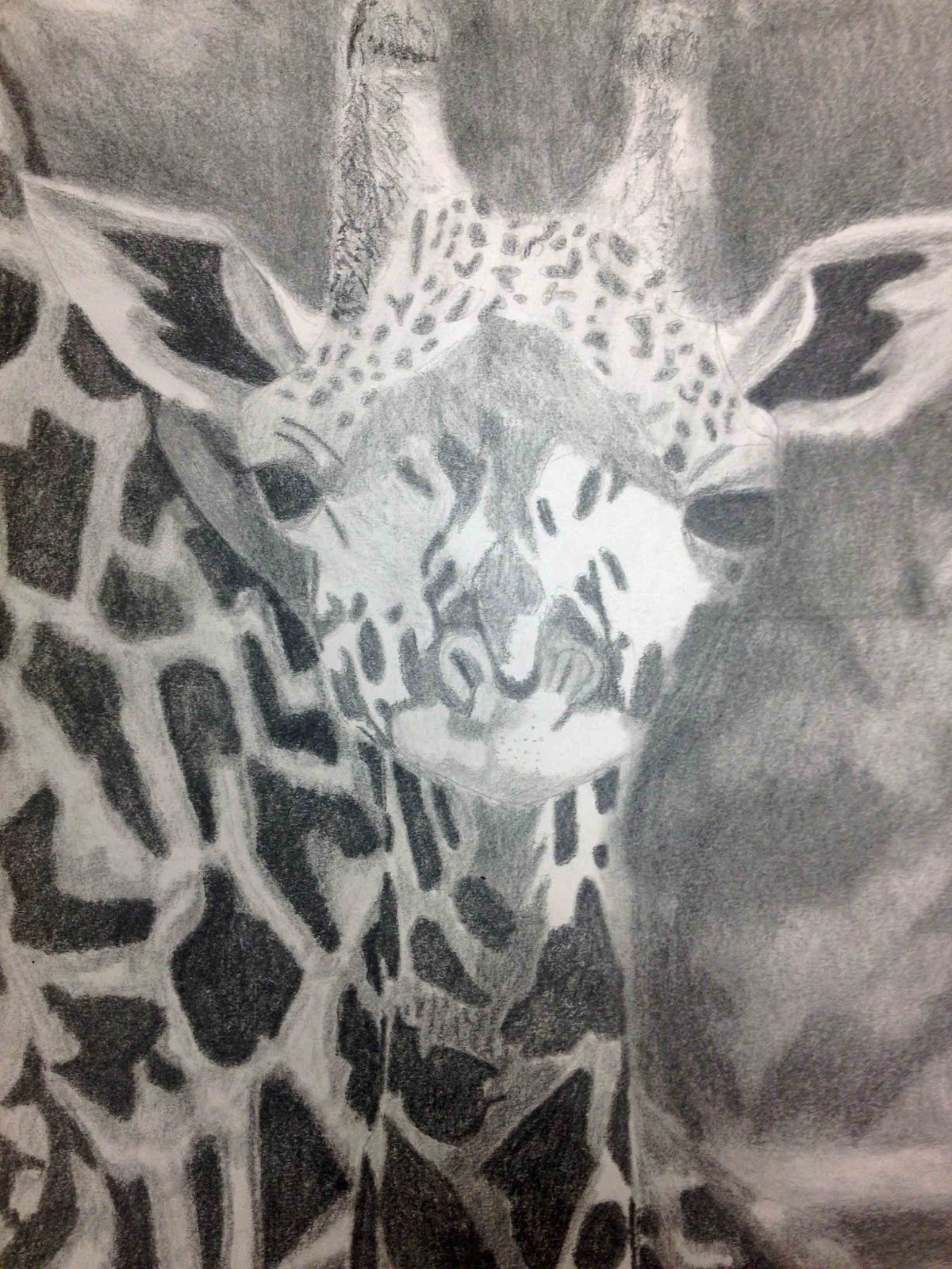 art @ the heart: Grade 9 Graphite Drawings
