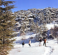 lebanonroad: Tourism in Lebanon