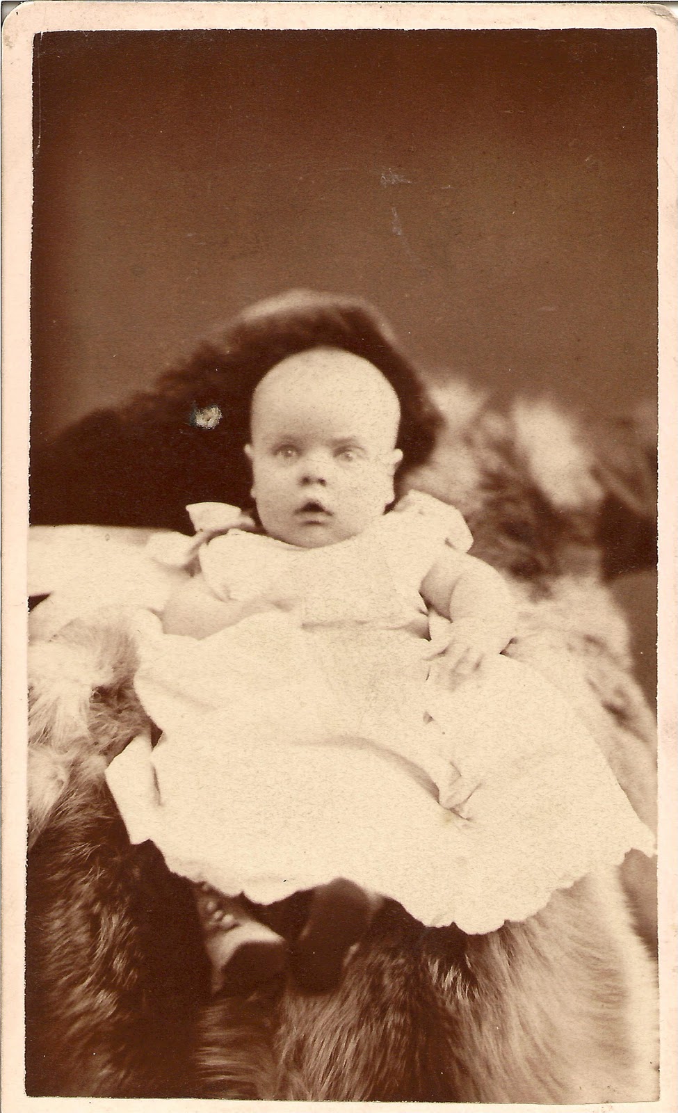 Whispers From The Past/Tales Told: Ellen Maria married into the BITHELL ...