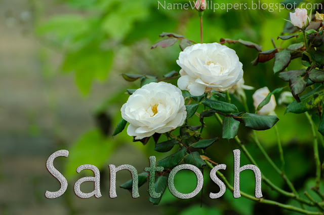 Santosh Name Wallpapers Santosh ~ Name Wallpaper Urdu Name Meaning Name ...