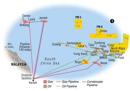 Dunia NDT & inspection: 1MDB hampir cagar minyak dan gas asli di laut ...