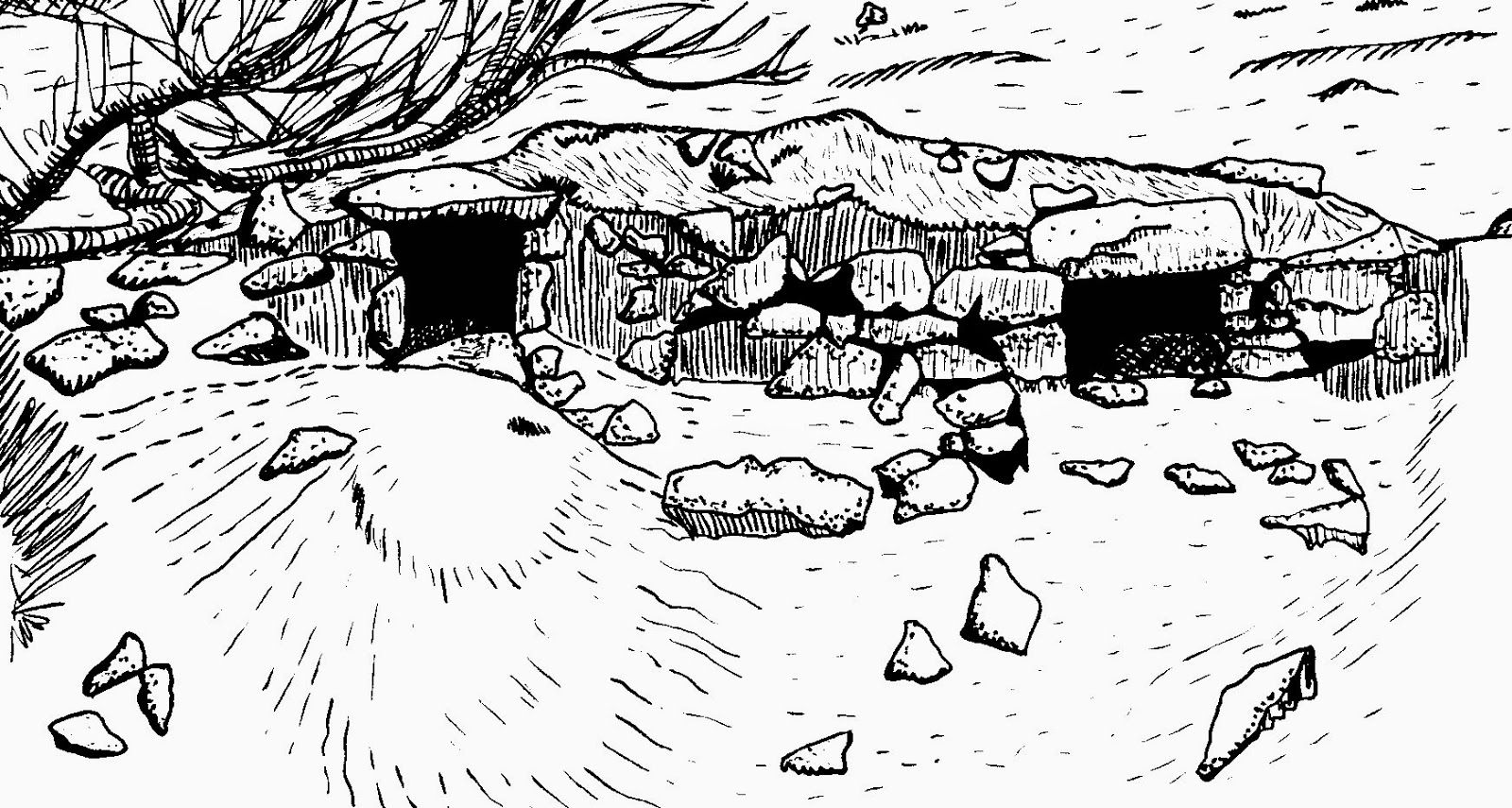 Meavy Valley Archaeology