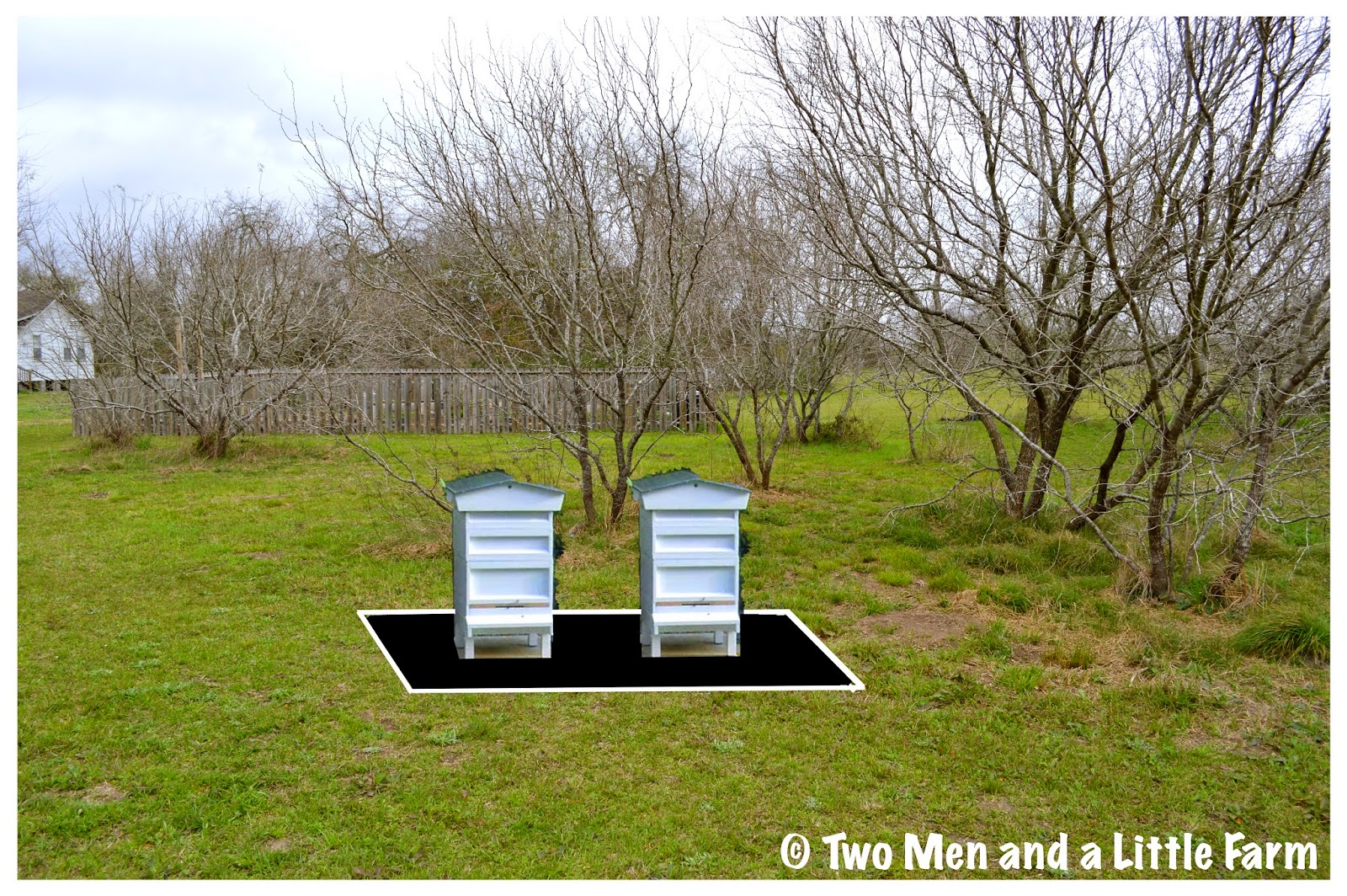 Two Men and a Little Farm: BEEHIVE LOCATION PLANNING