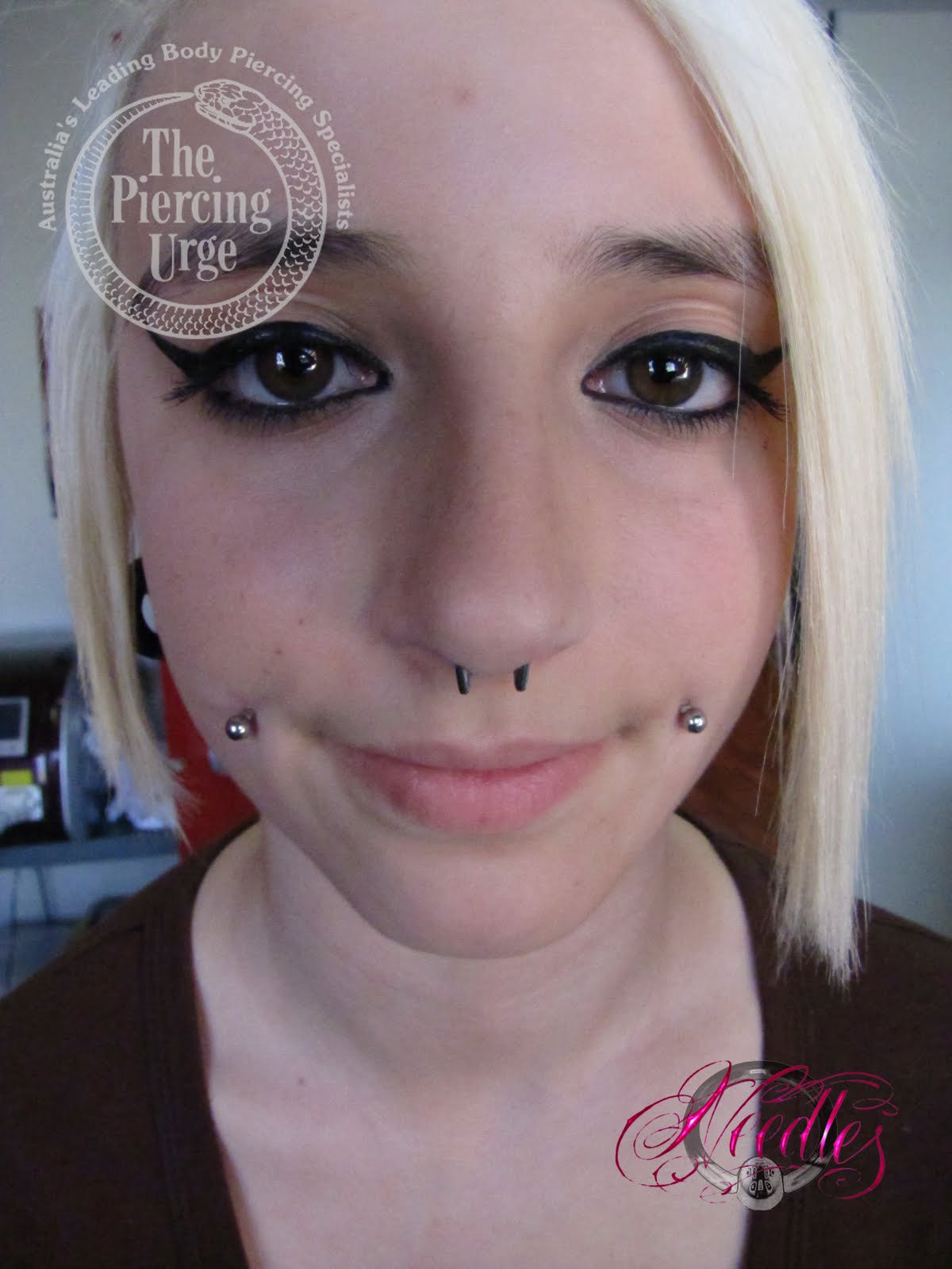 NINE BODY PIERCING BLOG: 10g Fresh Septum