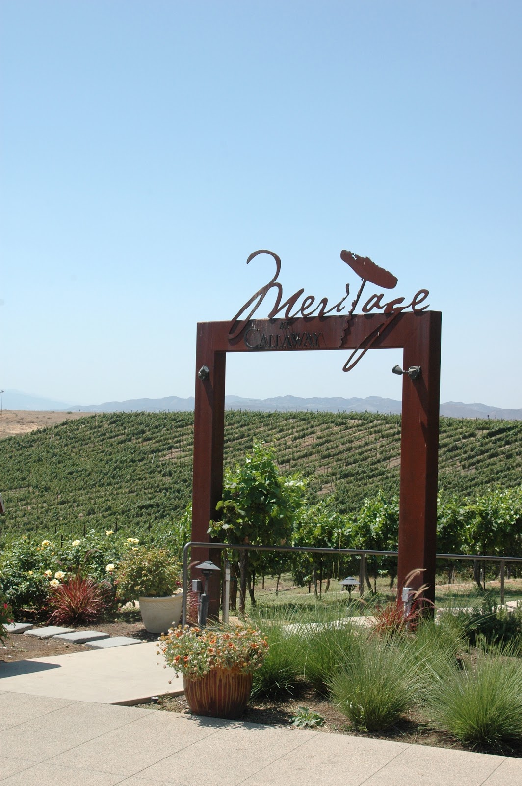 Simply Suzanne's AT HOME: dining in a vineyard