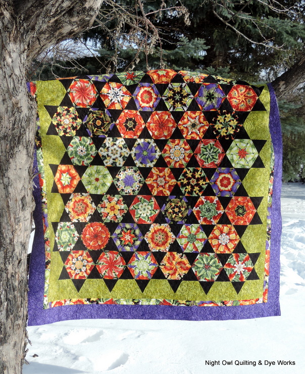 Night Owl Quilting & Dye Works: Amy's Hexagon Star Stack 'n Whack