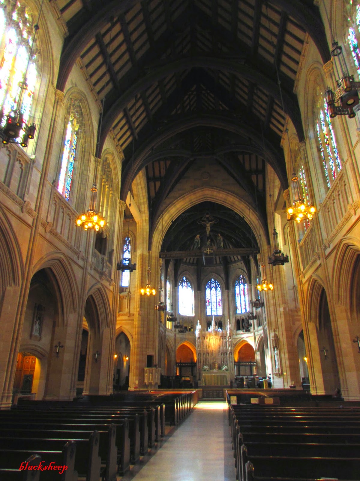 Blacksheep's bit of the Web: Our visit to St. Dominic's