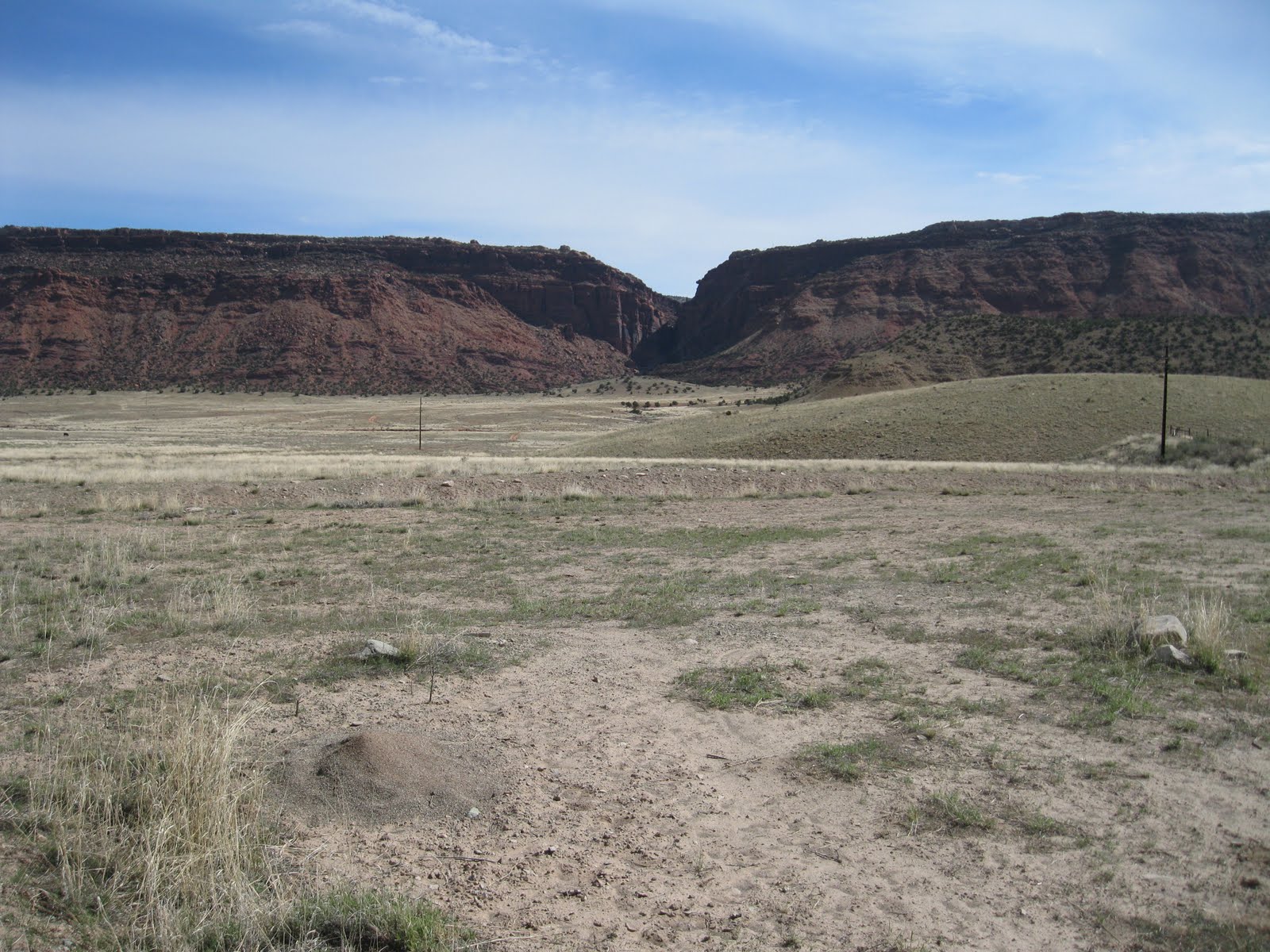 Four Corners Hikes-Dolores River Valley Colorado: Dolores River at Big ...