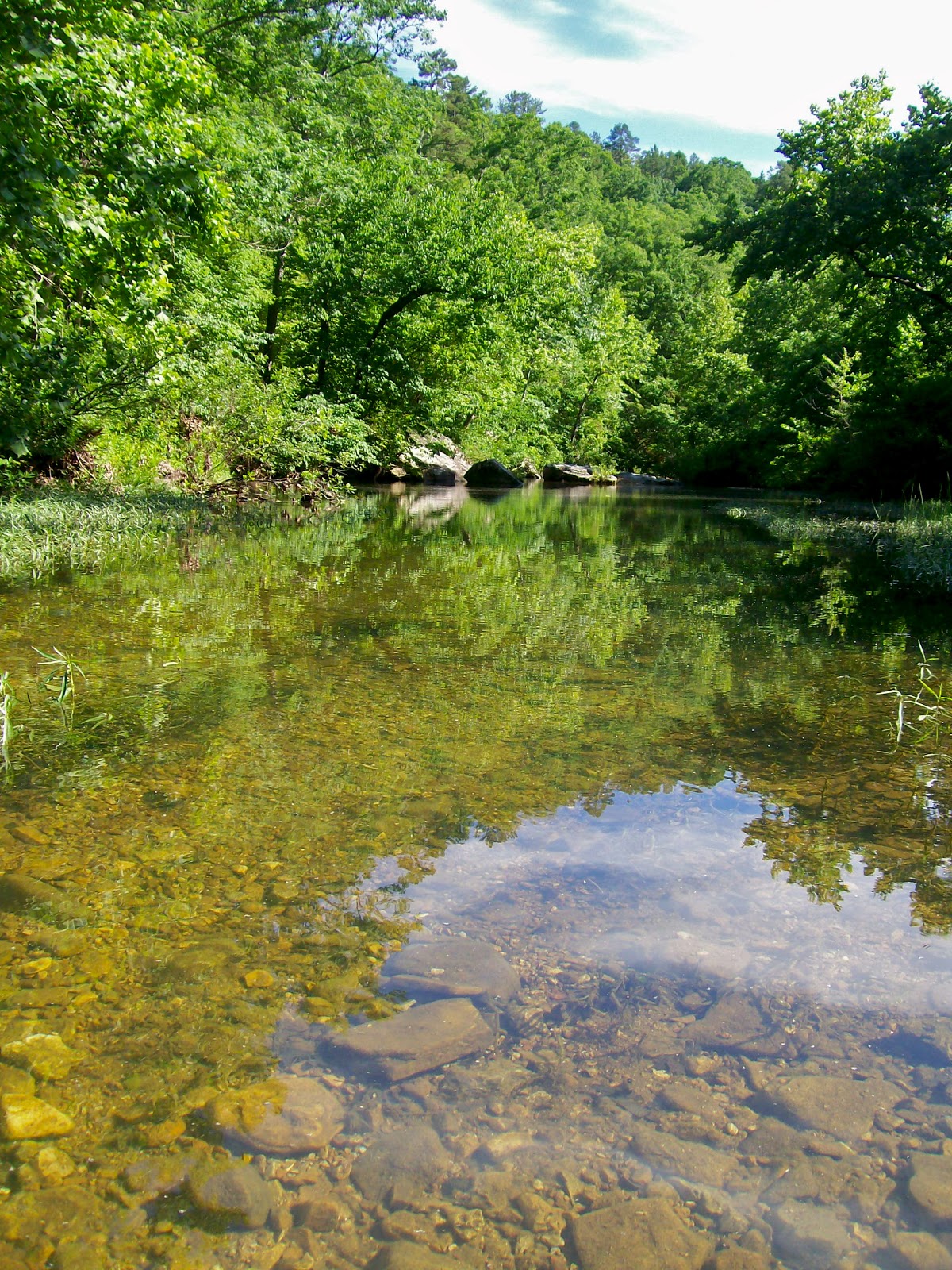 MKDesigns: Mark Twain National Forest